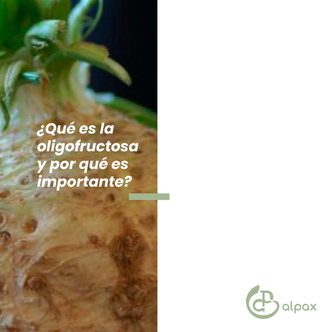 “Oligofructosa: El Prebiótico que ayuda a tener Salud Intestinal ...